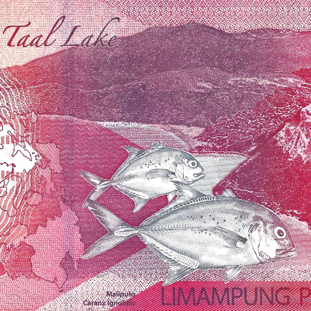 The Exotic Wildlife Found on Philippine Piso Bills - Learn About Nature