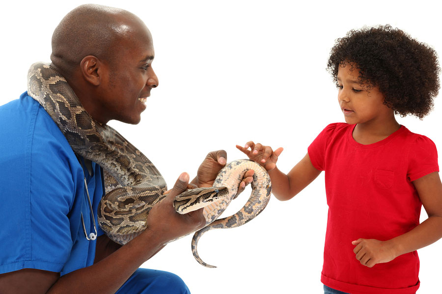 Fear-of-Snakes - Learn About Nature