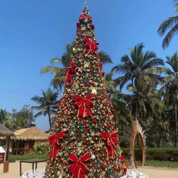 Christmas in India - Great Depth Of Arcane Customs & Traditions - Learn ...