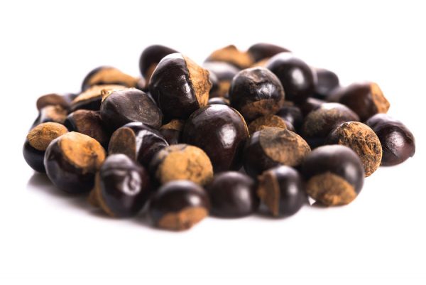 Guarana - Learn About Nature