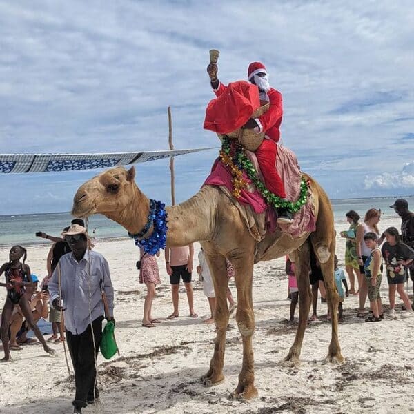 Christmas in South Africa - Enlightening Enjoyment in the Middle of the ...