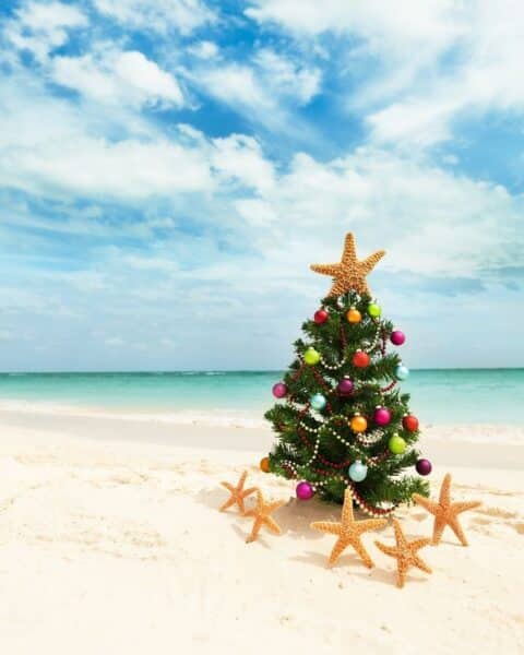 Christmas in South Africa - Enlightening Enjoyment in the Middle of the ...