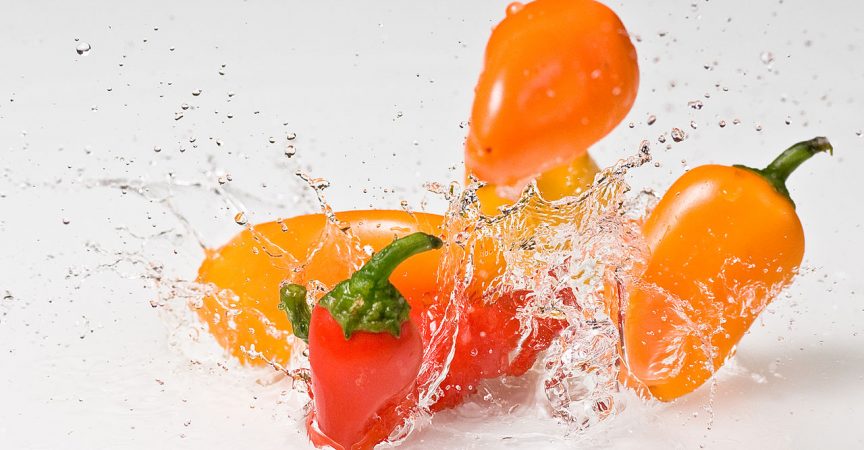 Splash_of_Chili_Pepper - Learn About Nature