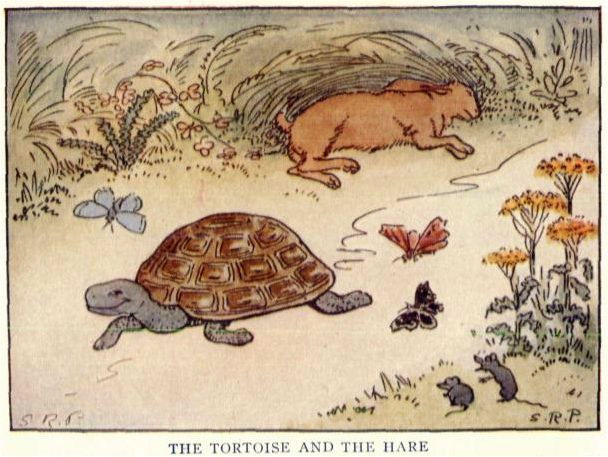Story-of-the-Tortoise-and-the-Hare - Learn About Nature
