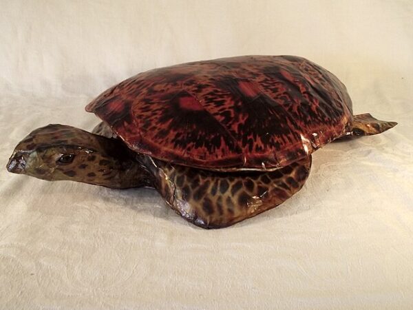 5 Feng Shui Animals That Are Believed to Attract Good Luck - Learn ...