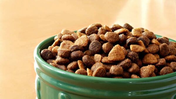 Breeding a Dog - Understanding Dog Reproduction - Learn About Nature