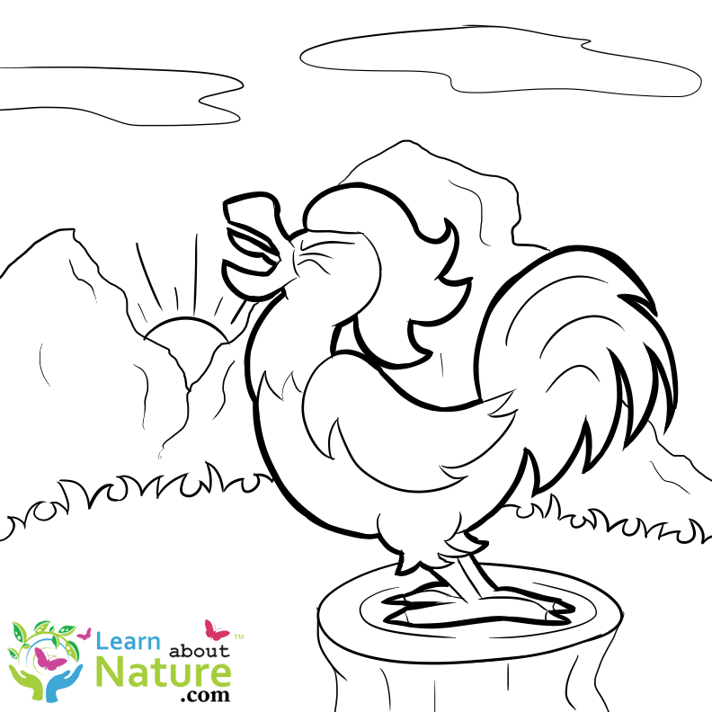 farm-animals-coloring-page-8 - Learn About Nature