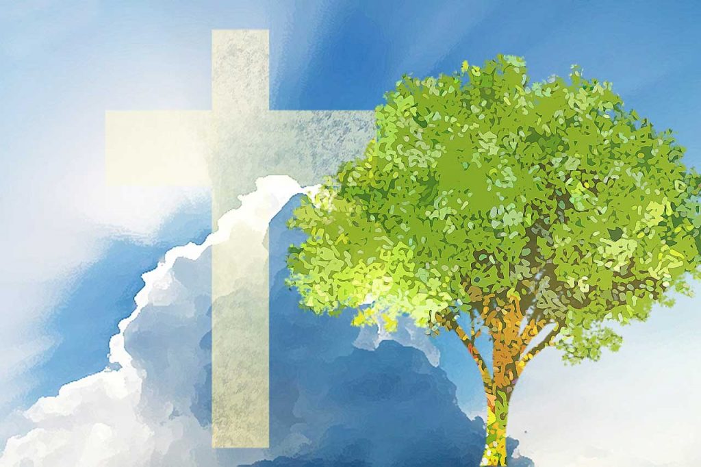 Tree of Life - Learn About Nature